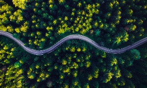 Overcoming Climate Change Stockholm Syndrome